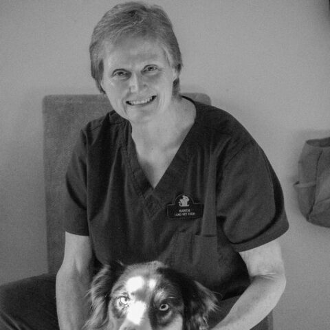 Veterinarian In Gardner, MA | Tender Heart Veterinary Care